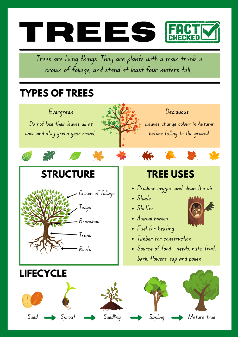 Tree Fact File Worksheet – Prophet Tales